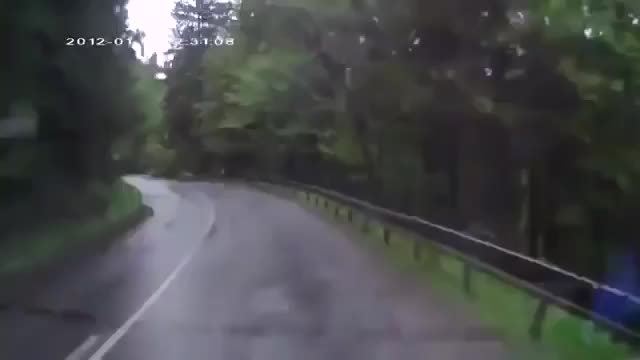 I've seen a tree fall, but a whole forest!? | Scrolller