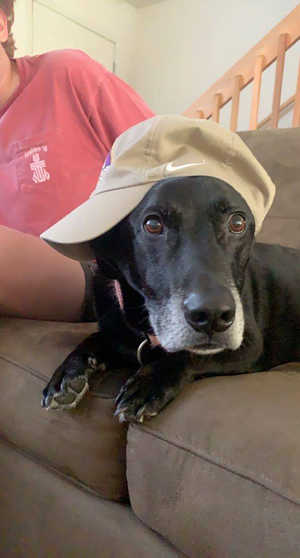 J chillin | Scrolller