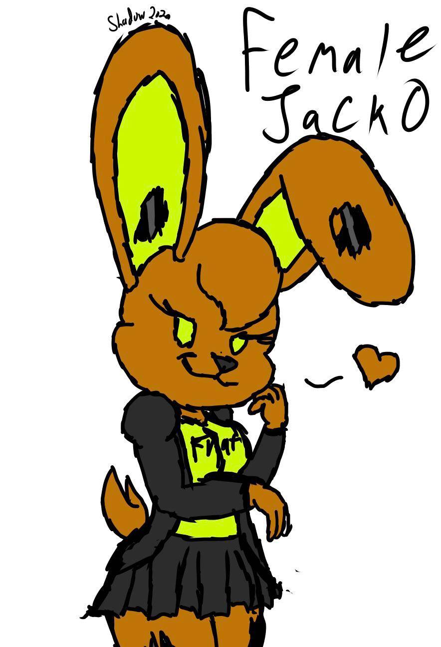 Jackie the jackrabbit | Scrolller