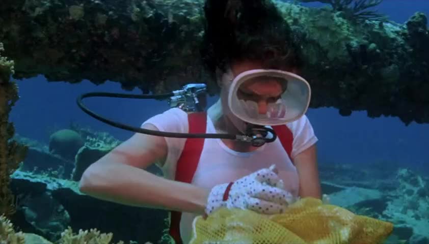 Jacqueline Bisset In The Deep Scrolller