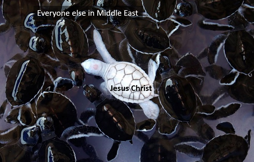 Jesus Christ | Scrolller