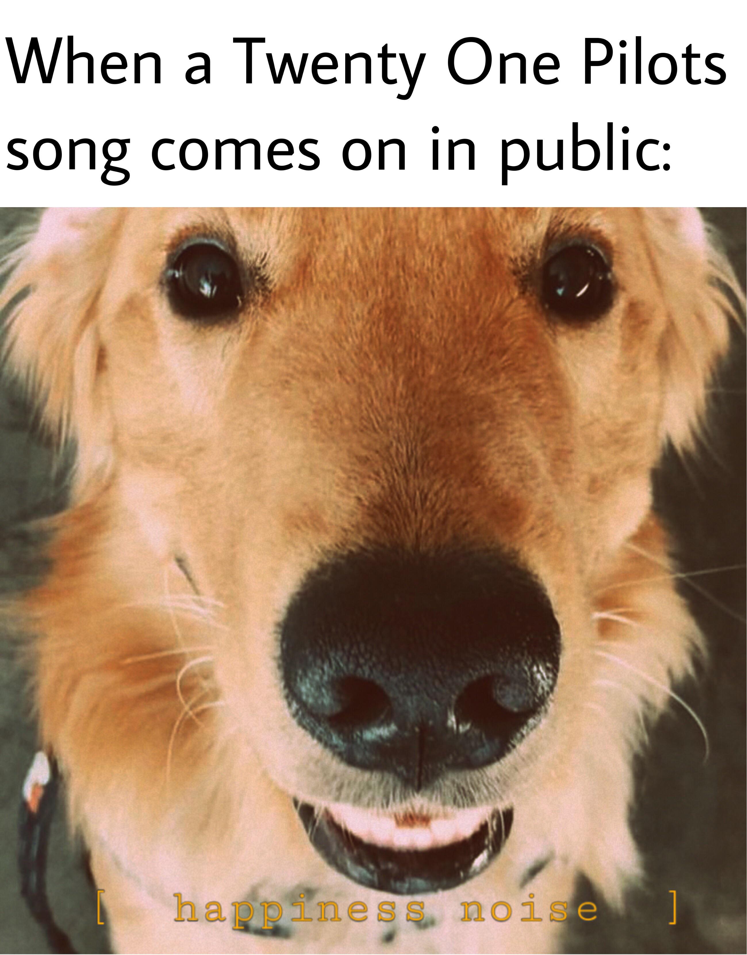 Jim is a good boy | Scrolller