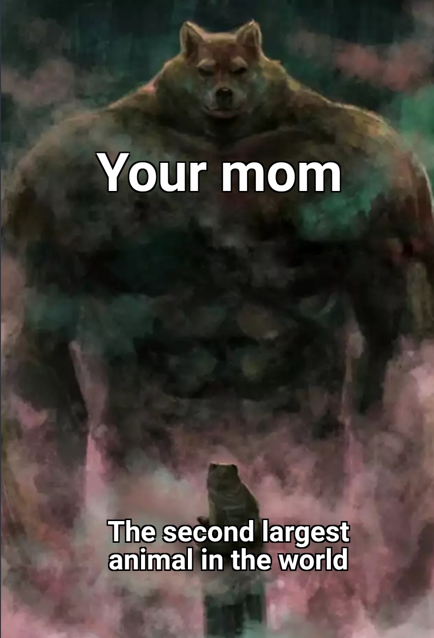 Joe mama | Scrolller