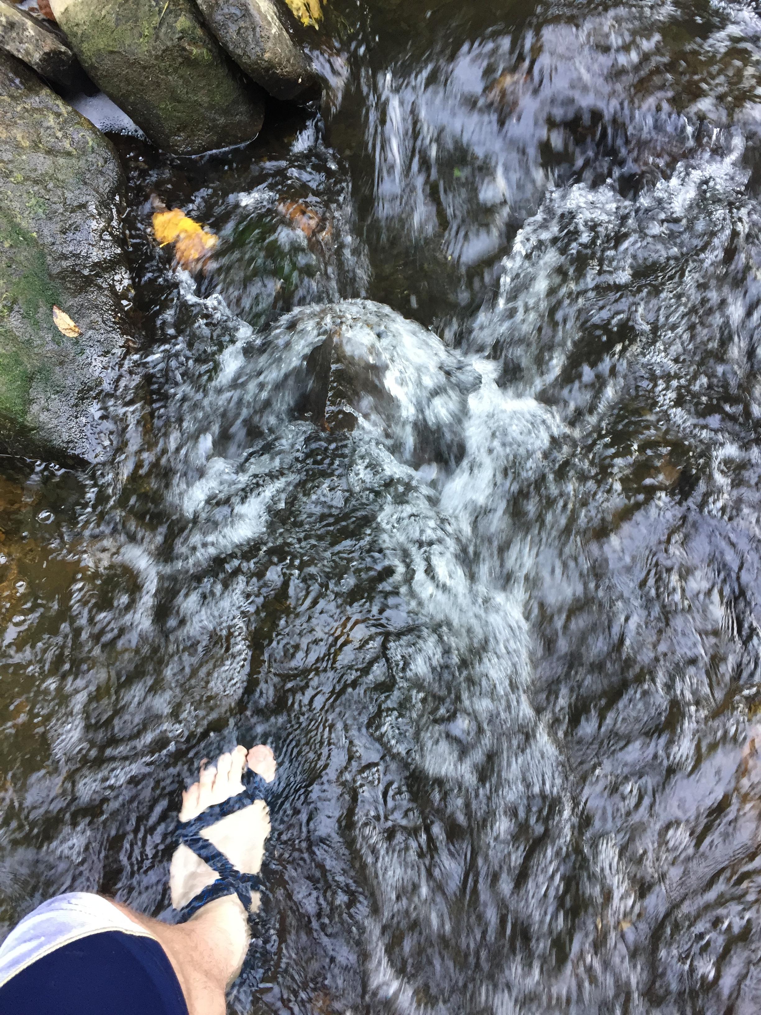 Joining the cult | Scrolller