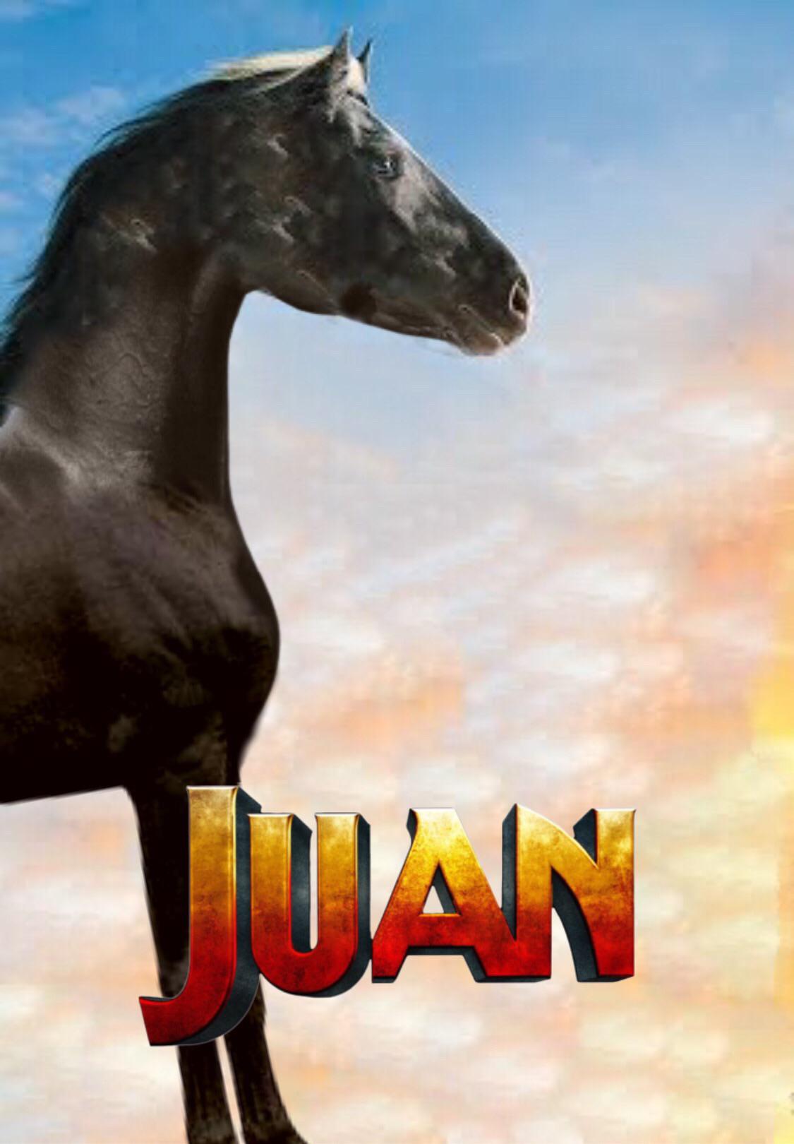 JUAN - The board game. | Scrolller