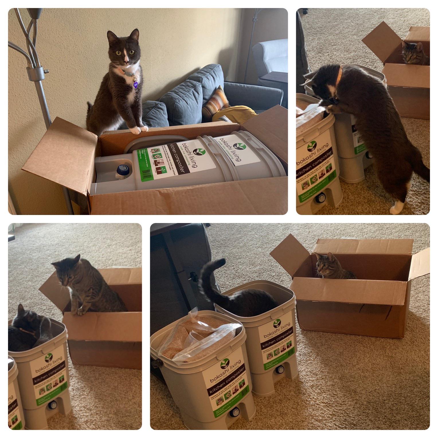 June is excited to start composting. | Scrolller