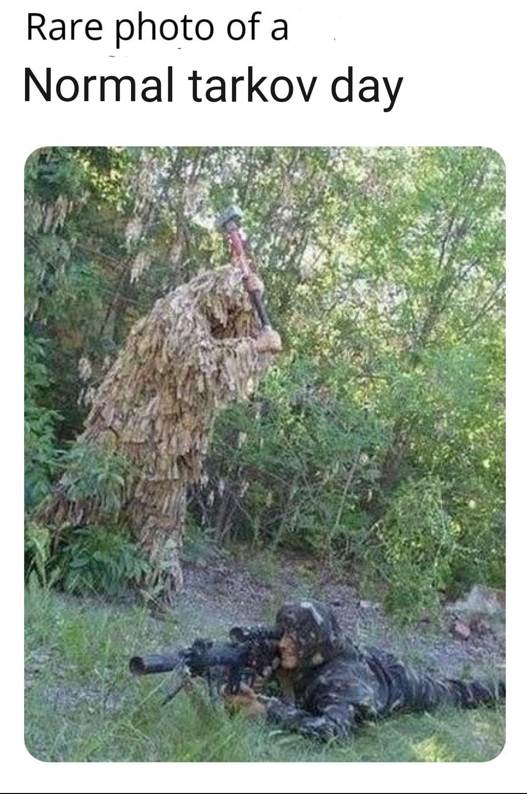 Just a normal day in tarkov | Scrolller