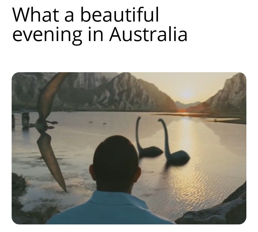 just a standard day | Scrolller