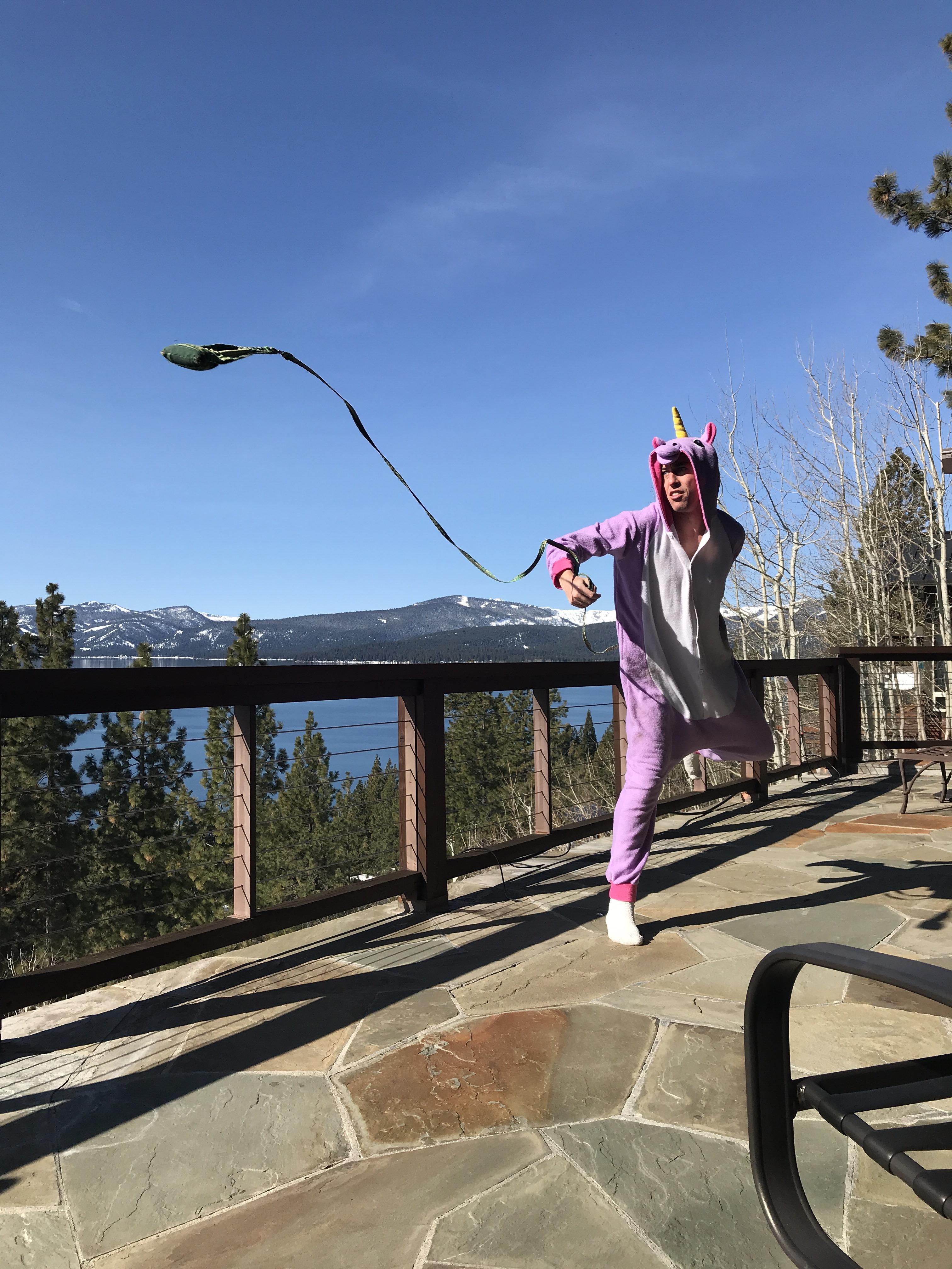 Just a unicorn doing his thing | Scrolller