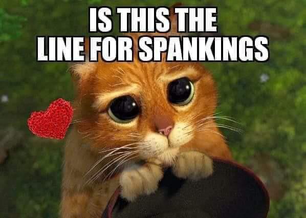 Just asking | Scrolller