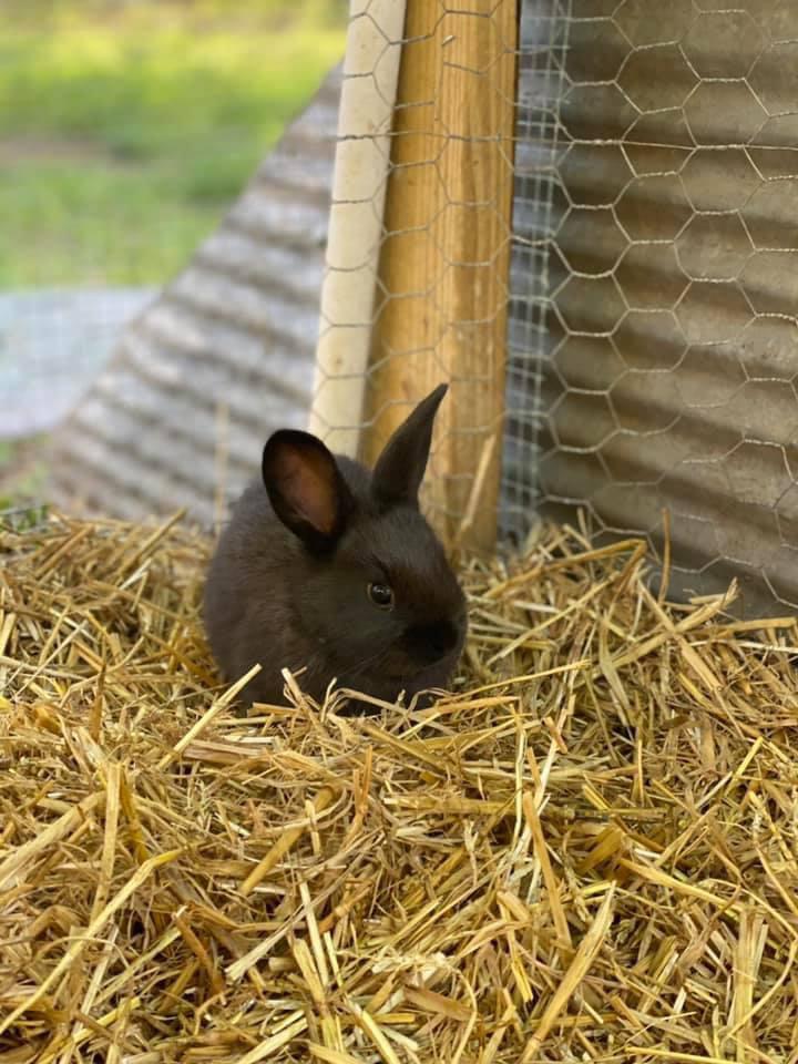 Just Chillin | Scrolller