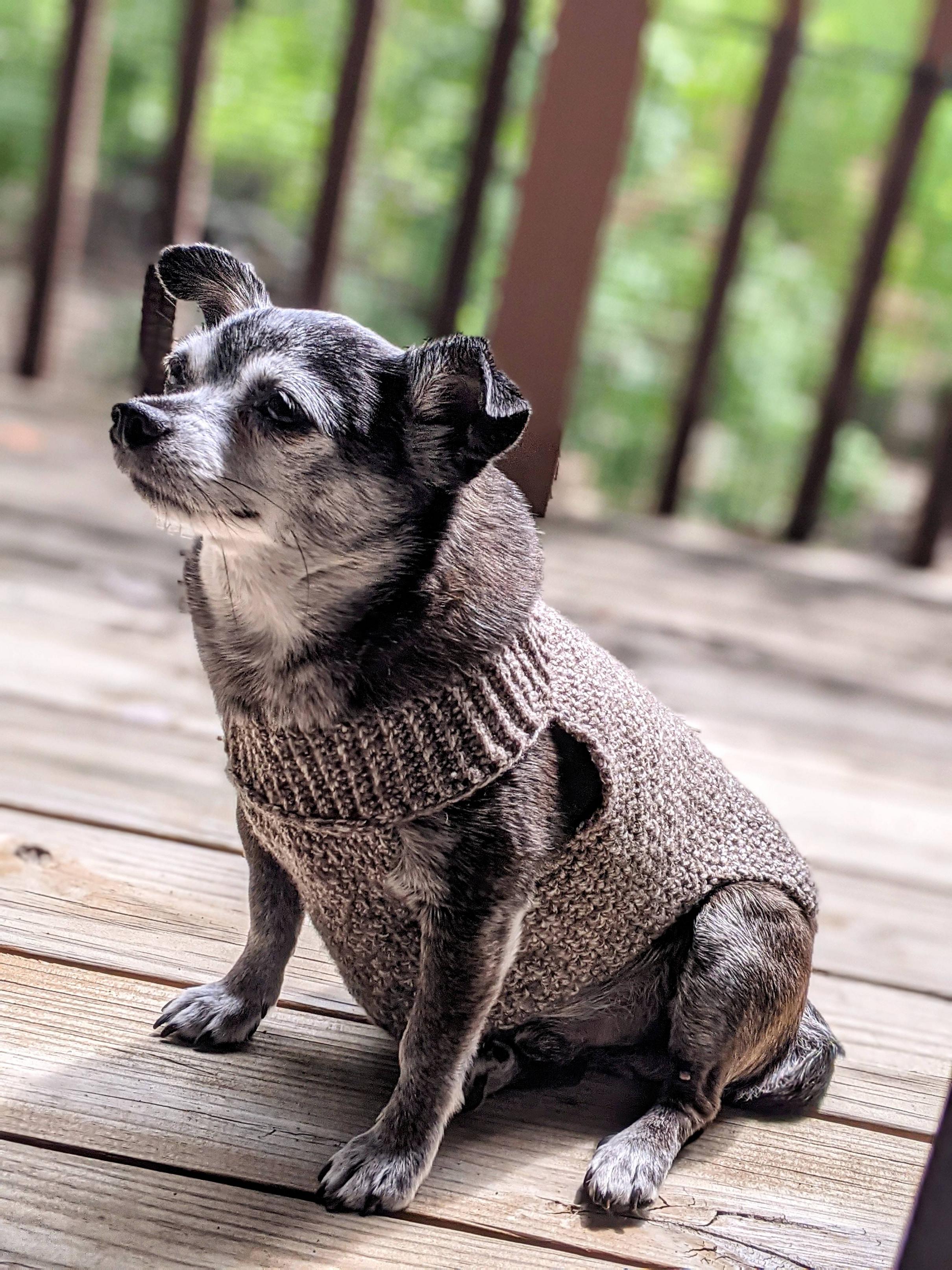 "Just finished his first crochet sweater! So handsome" | Scrolller