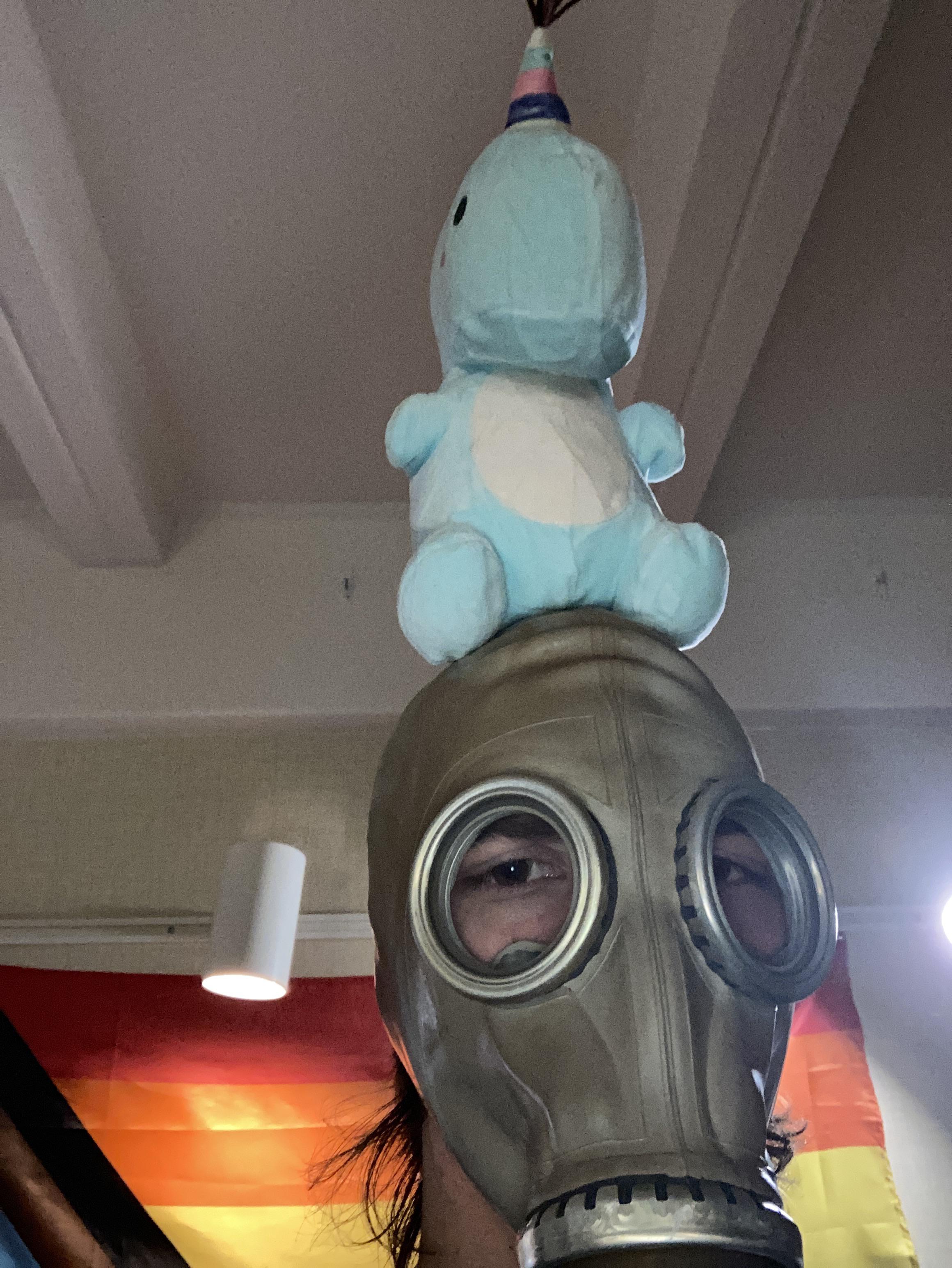 Just following the rules | Scrolller