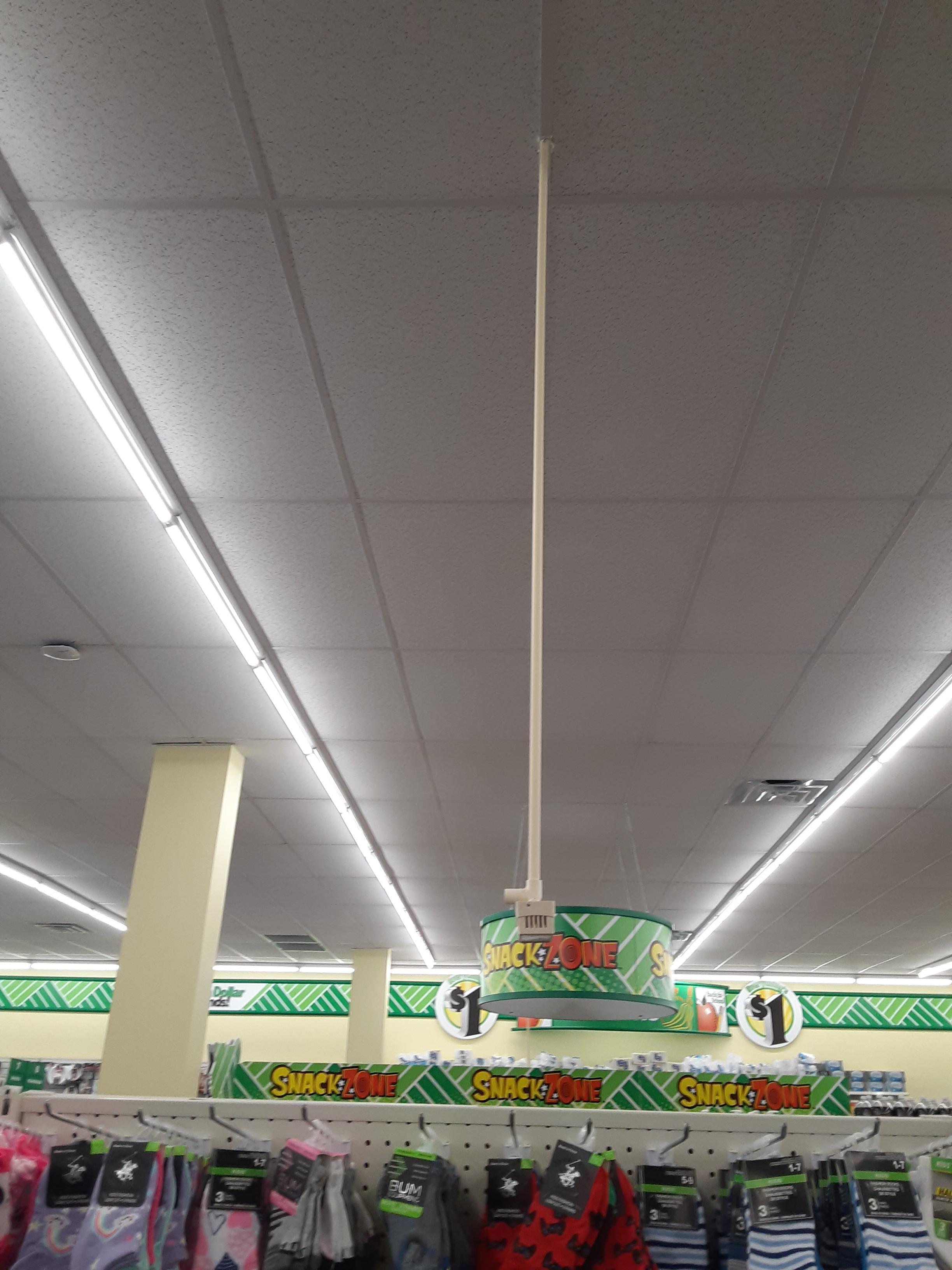 Just hanging around | Scrolller