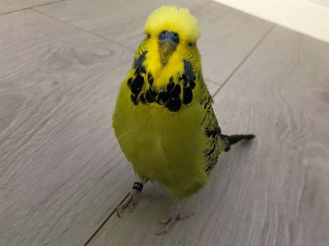 Just look at those cheeks | Scrolller