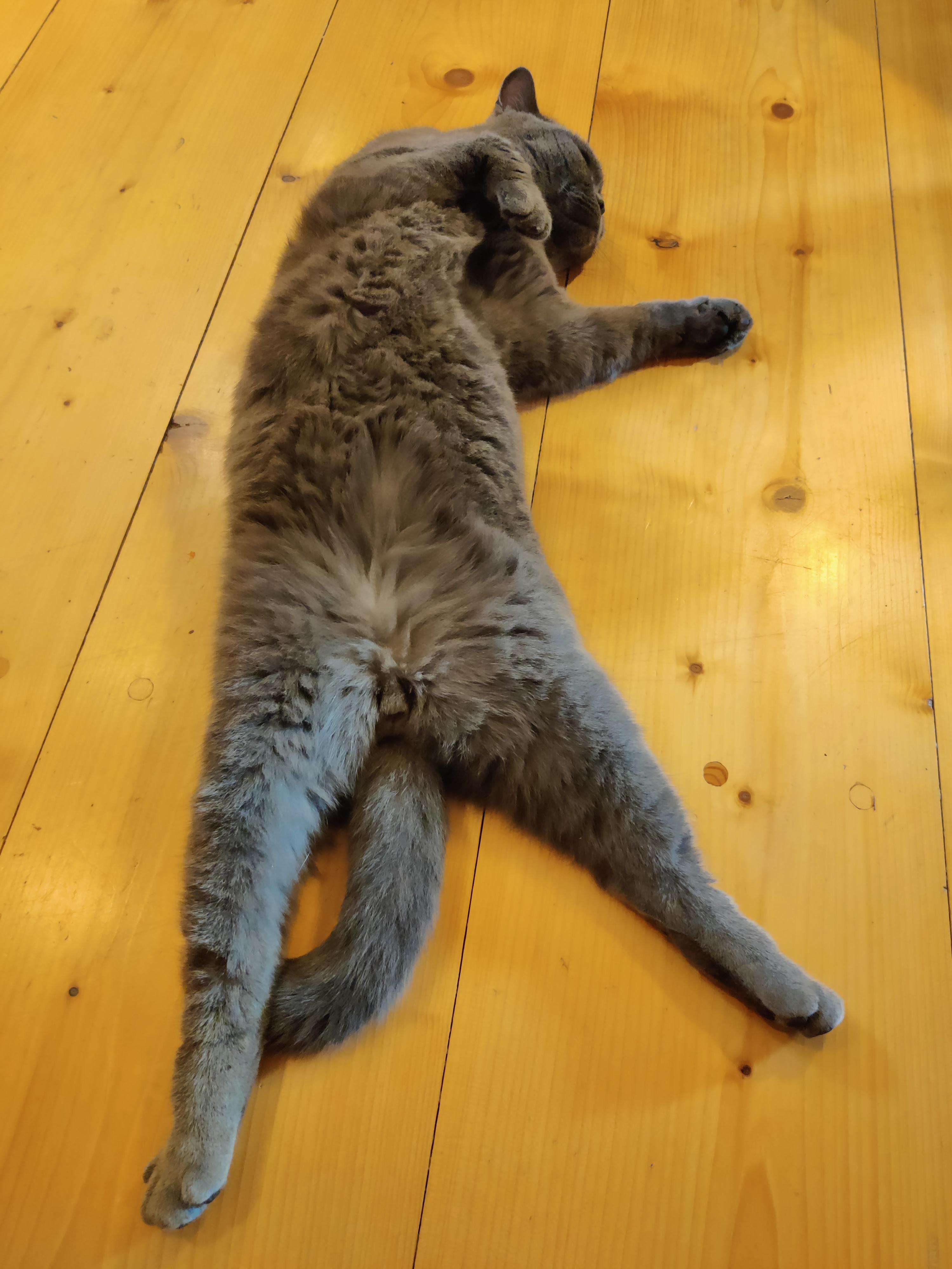 Just lying there on the floor in the middle of the room. | Scrolller