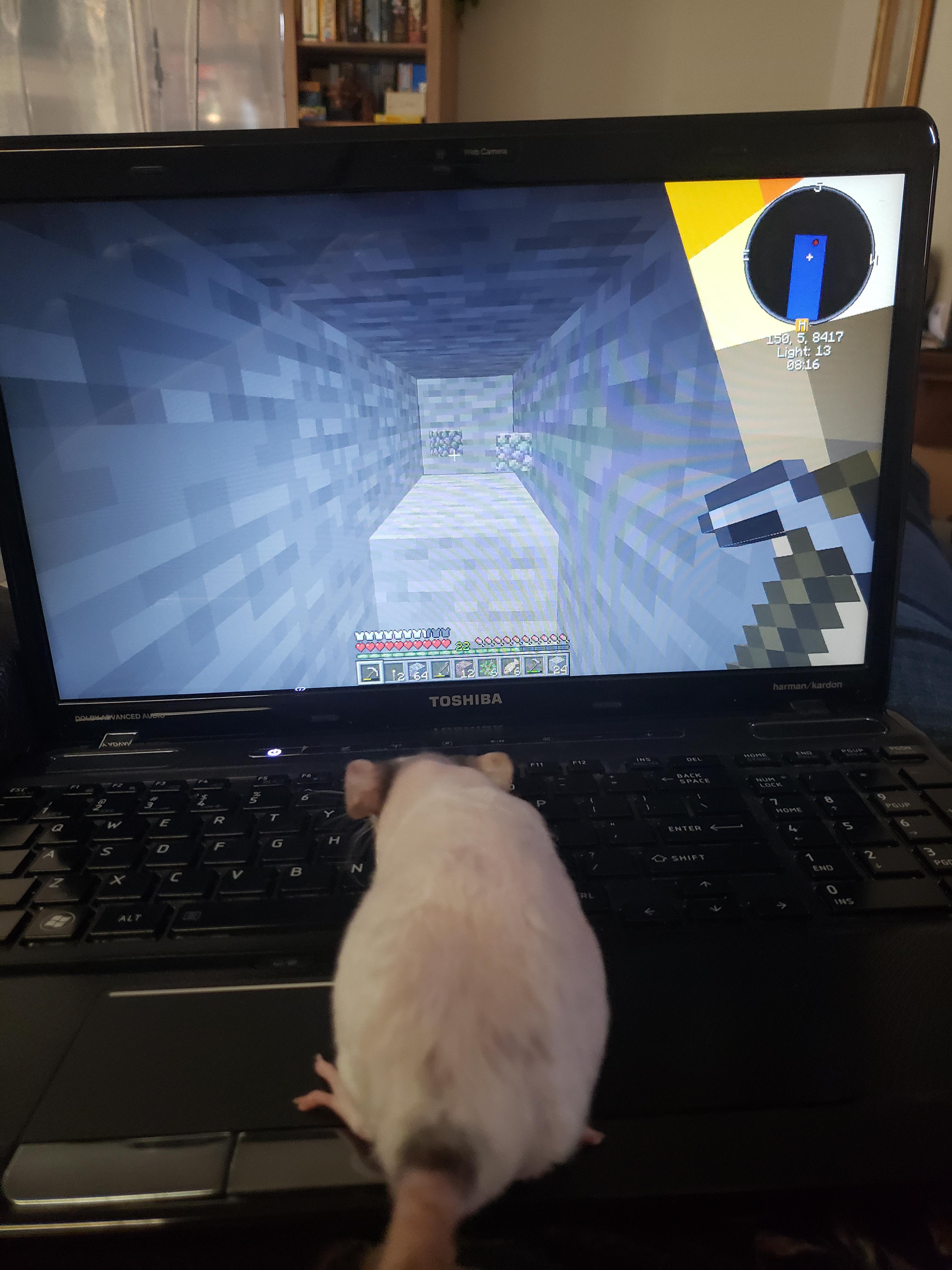 Just playing some Minecraft... | Scrolller