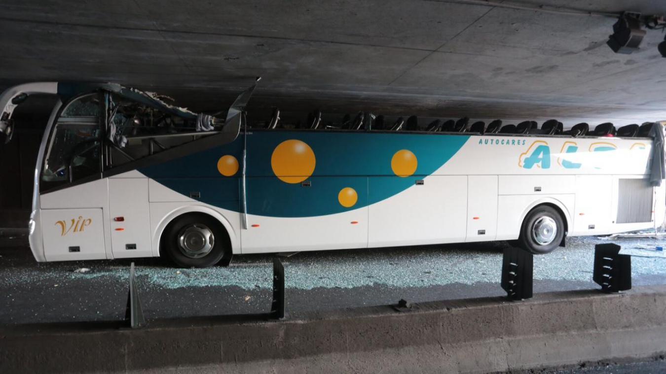 Just read the signs please | Scrolller