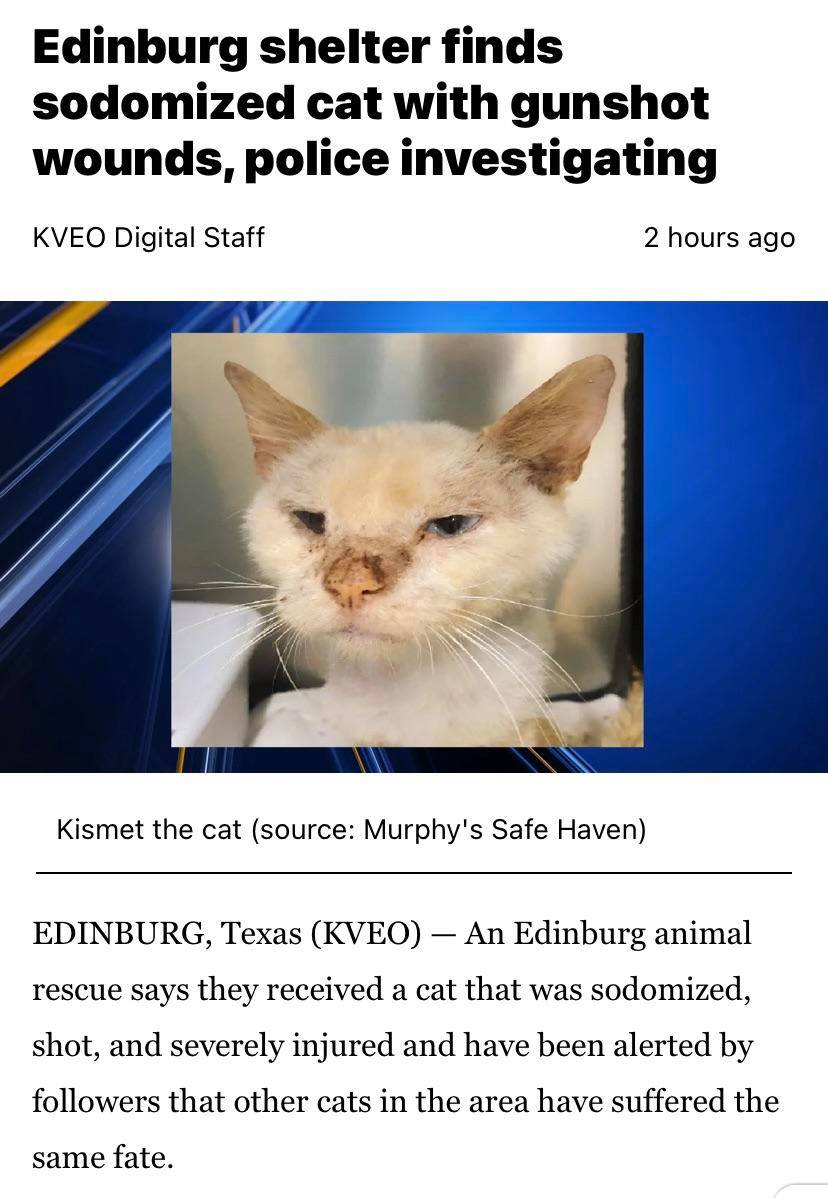 Just sad | Scrolller