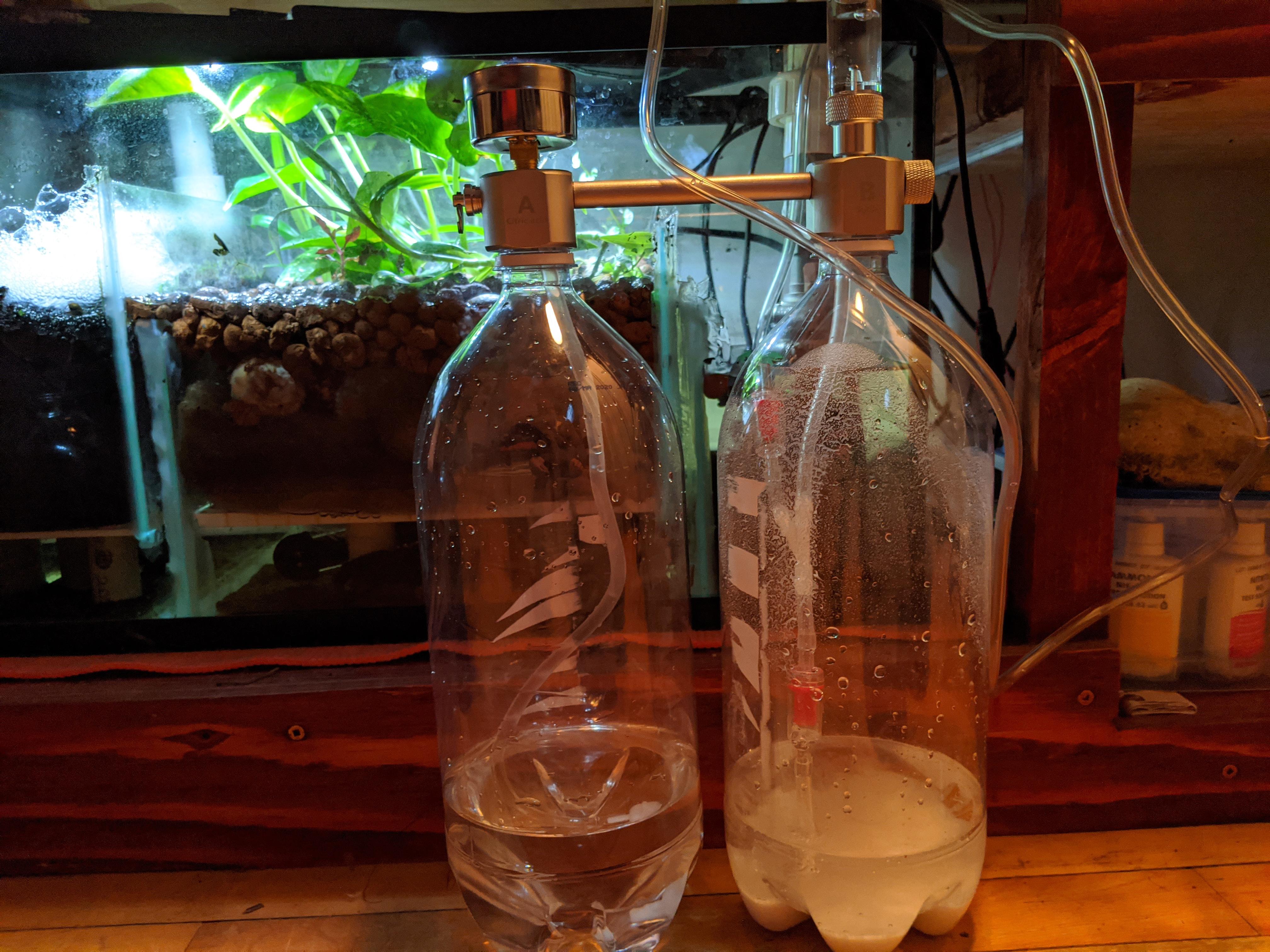 Just setup co2 for my aquatic plants... | Scrolller