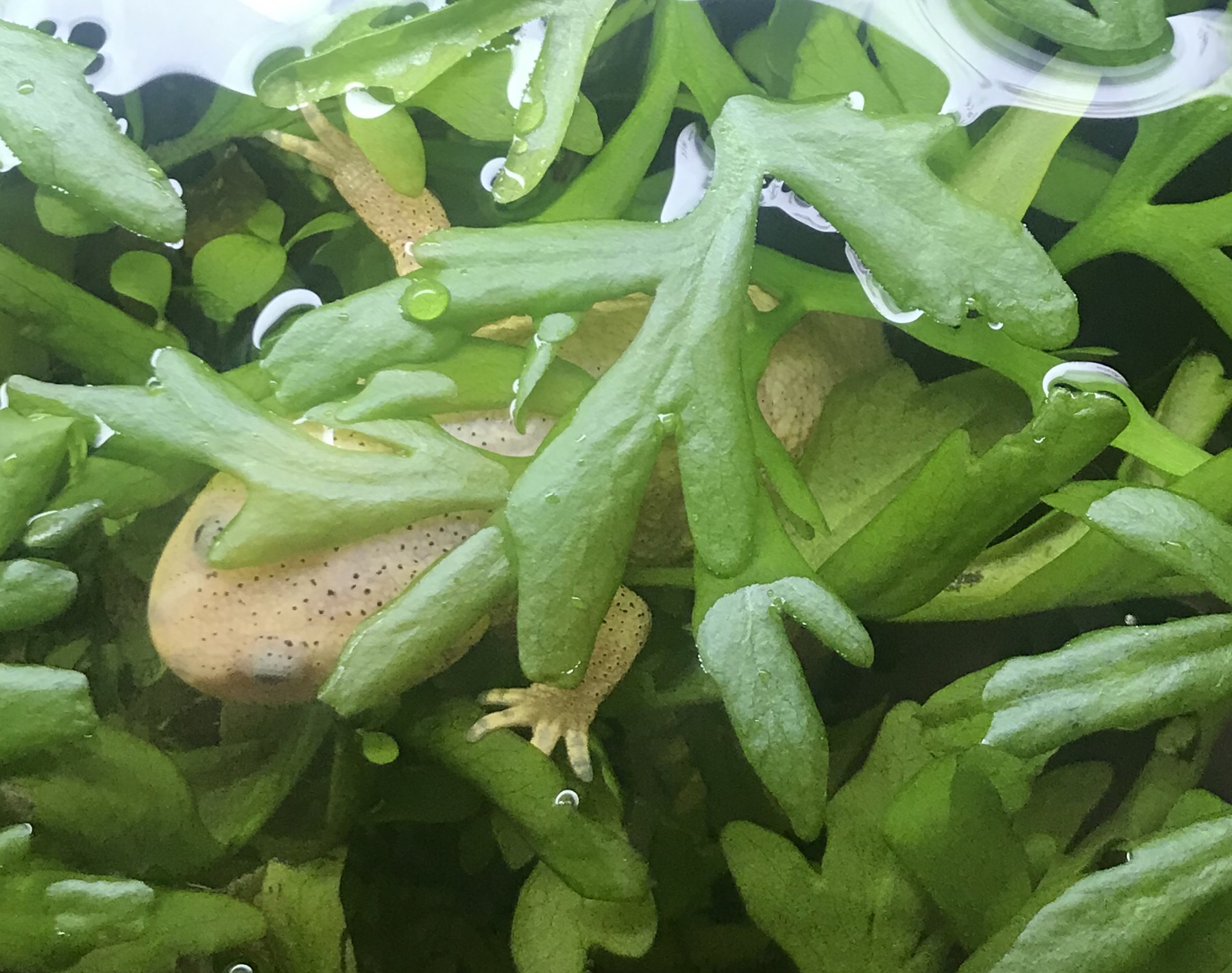 Just sharing | Scrolller