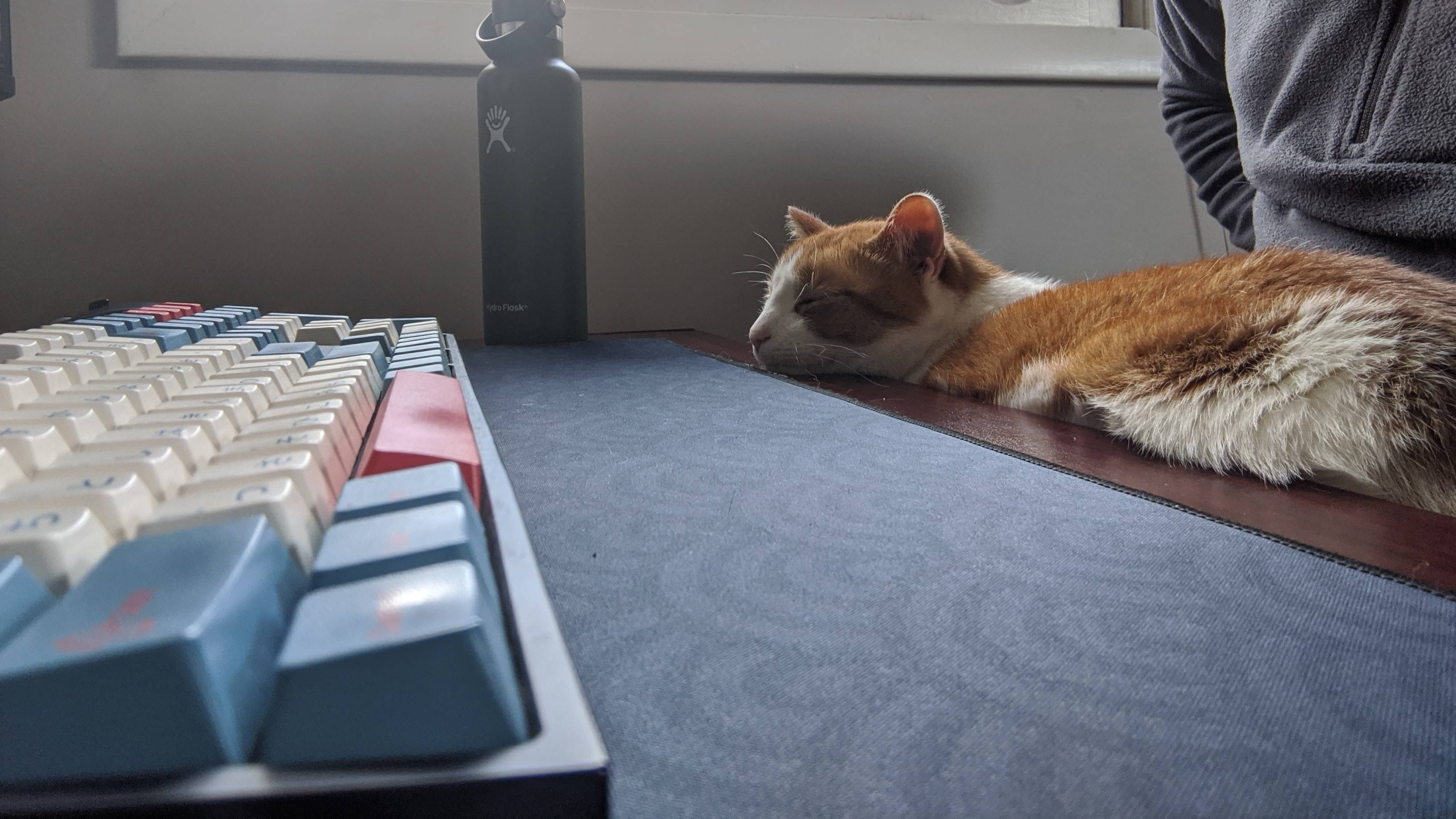 Just Squeezing a Nap In | Scrolller