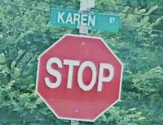 Just Stop Karen. Stop. | Scrolller