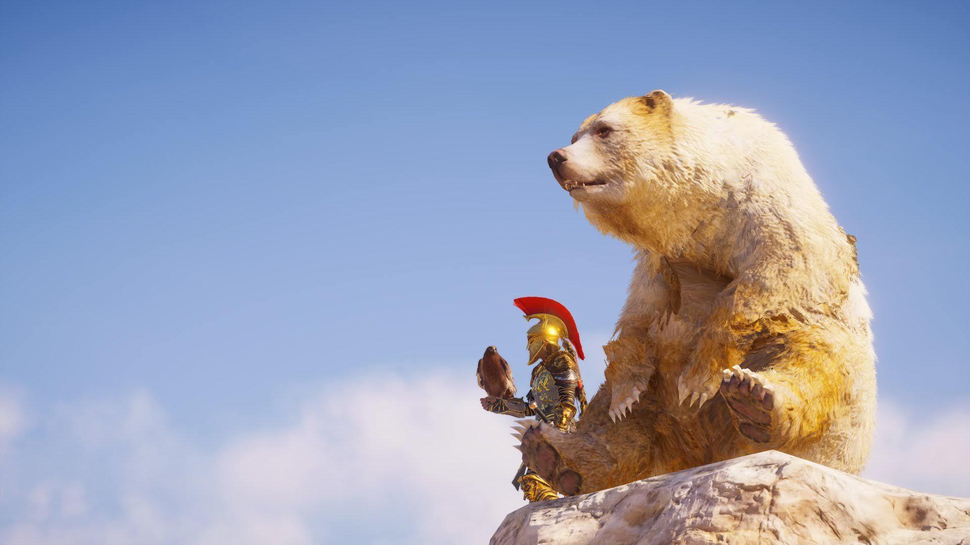 Just the Bear Necessities | Scrolller