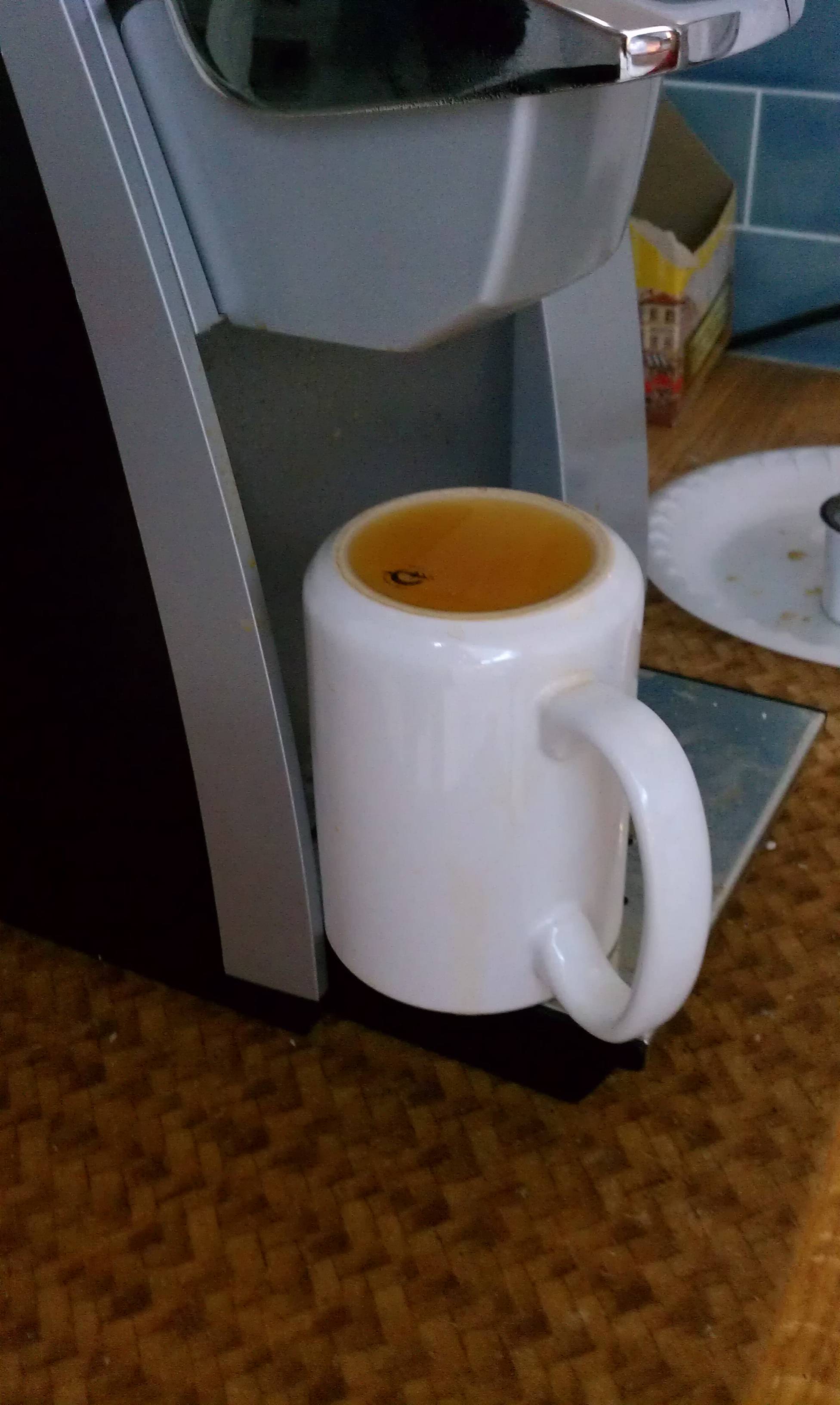 Just... too hungover. | Scrolller