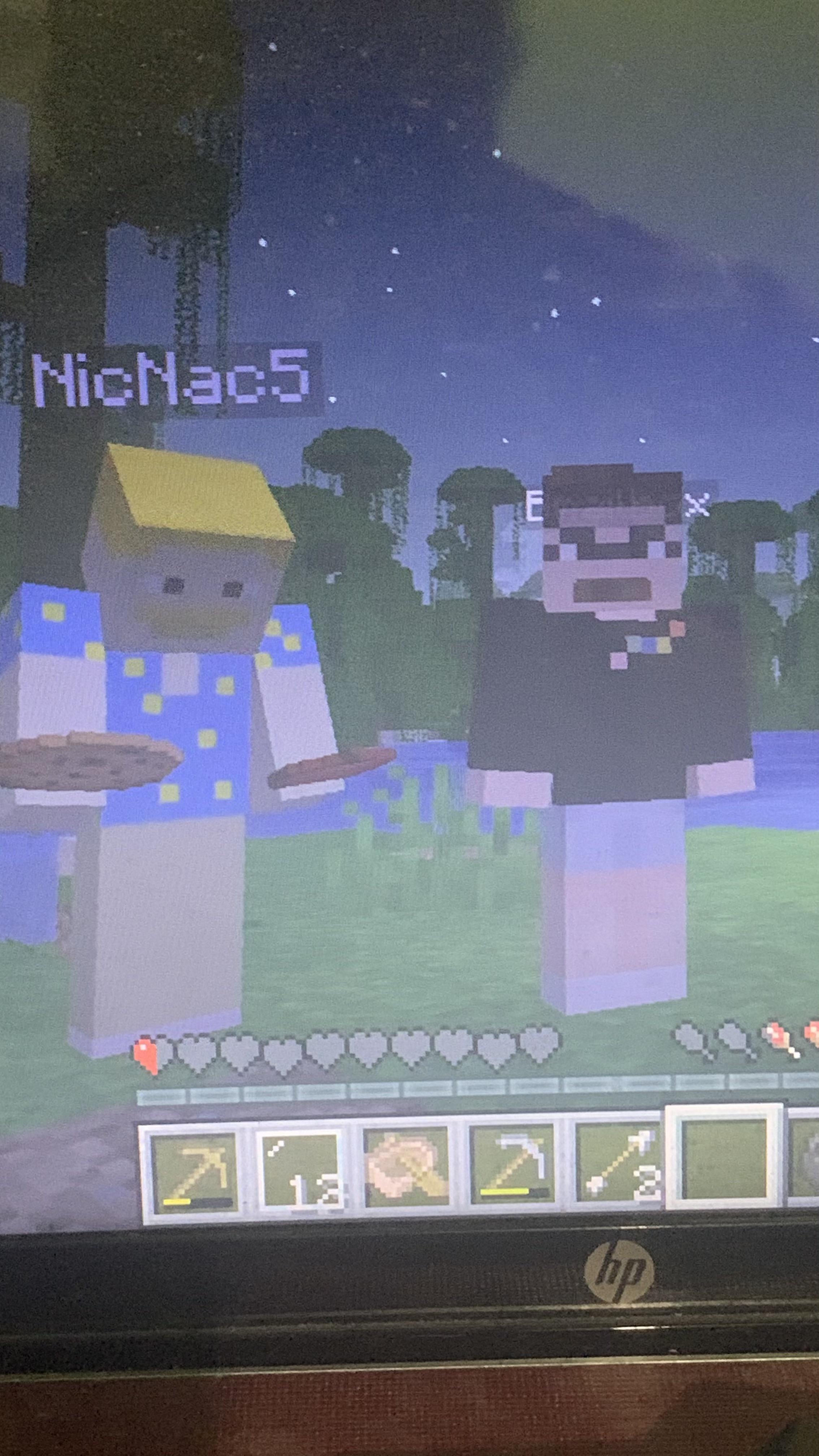 Just two boys in minecraft | Scrolller