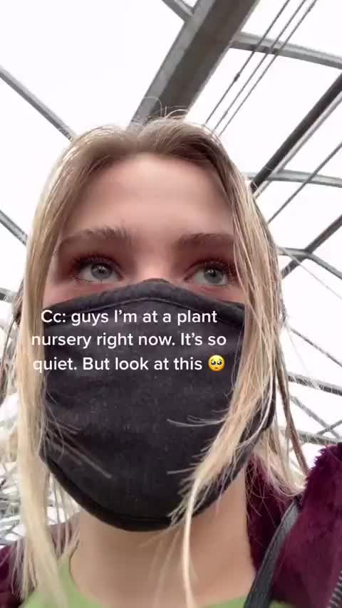 Just wait | Scrolller