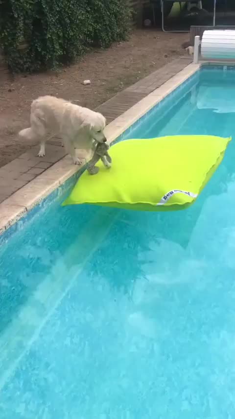 Just wanna float without getting wet | Scrolller