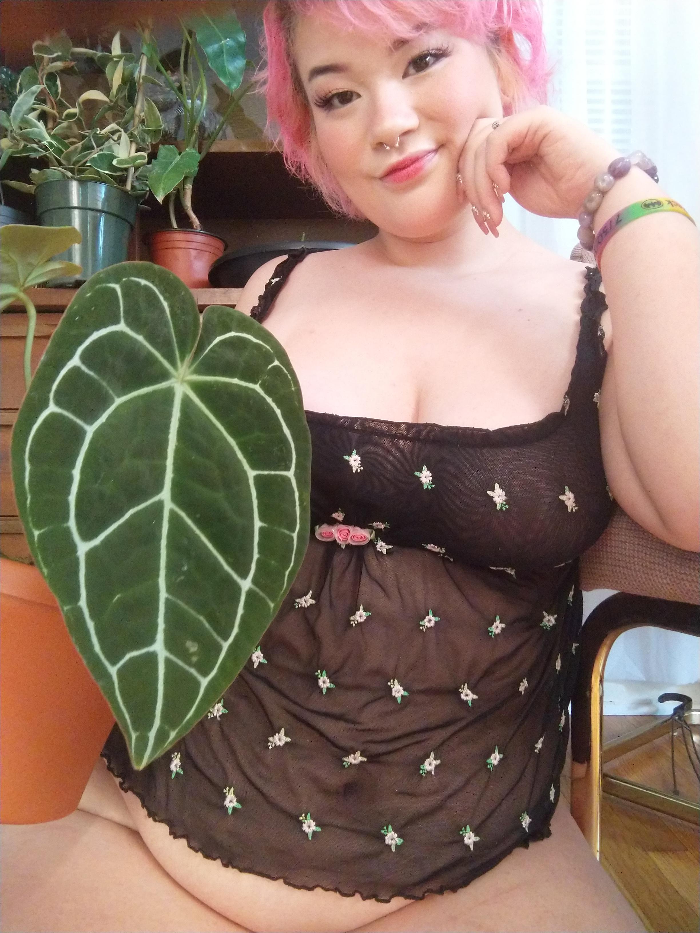 Just wanted to show everyone this leaf😇 | Scrolller