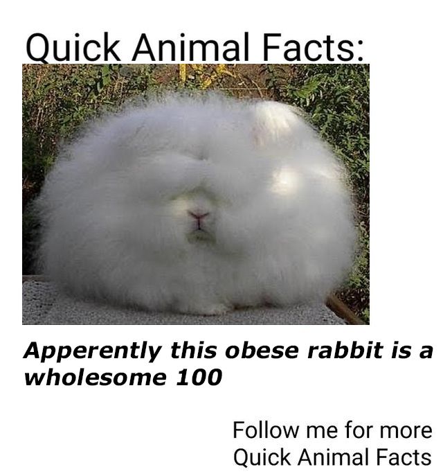 Keanu Reeves Chungus Wholesome 100 Moment | Scrolller