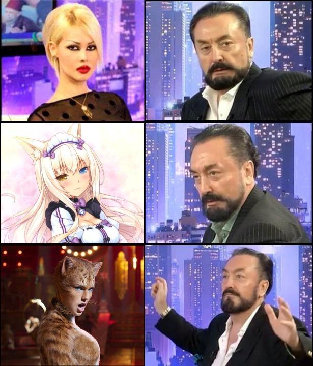 kedicik taking its final form | Scrolller