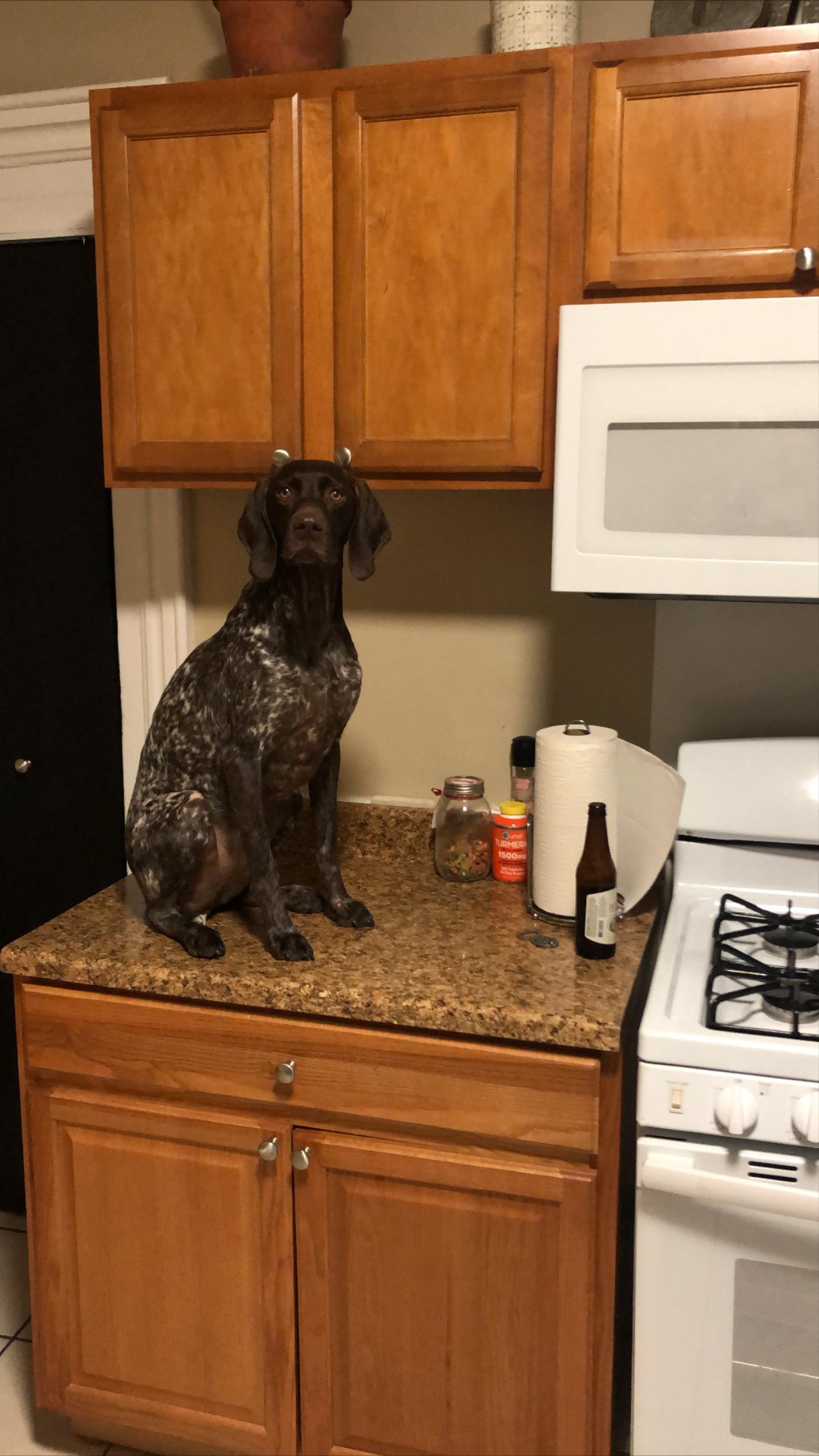 Keep scrolling, nothing to see here | Scrolller