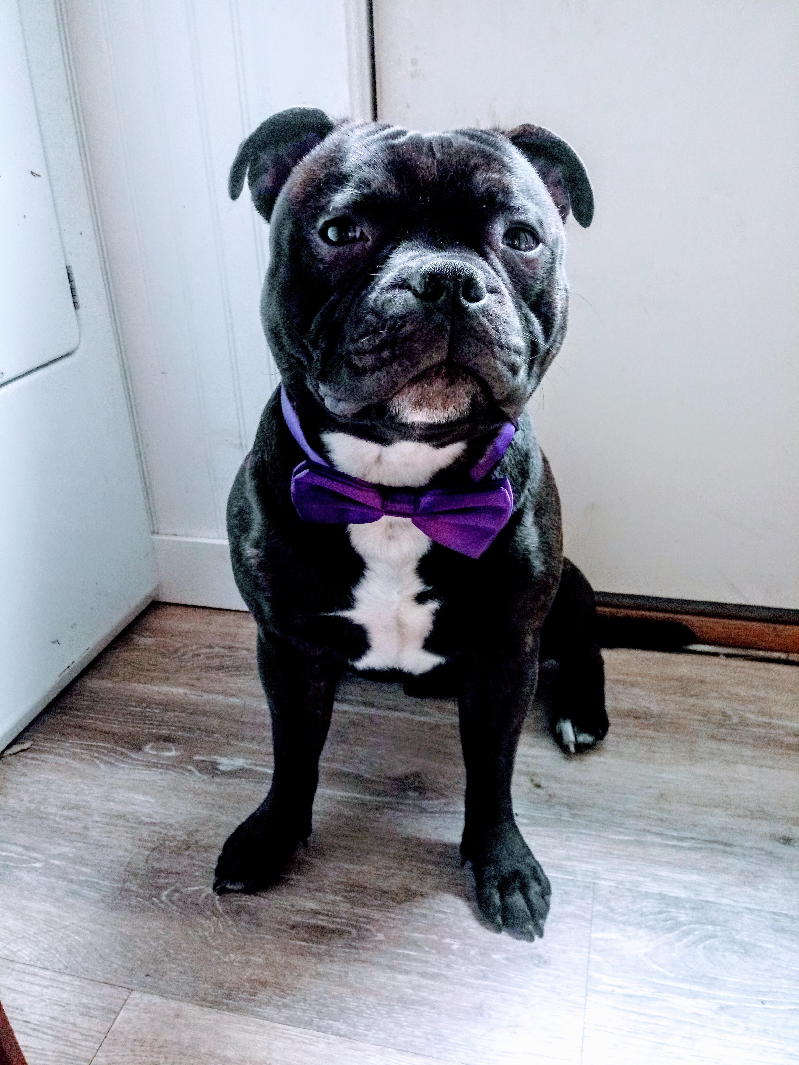 Keeping it classy during lockdown | Scrolller