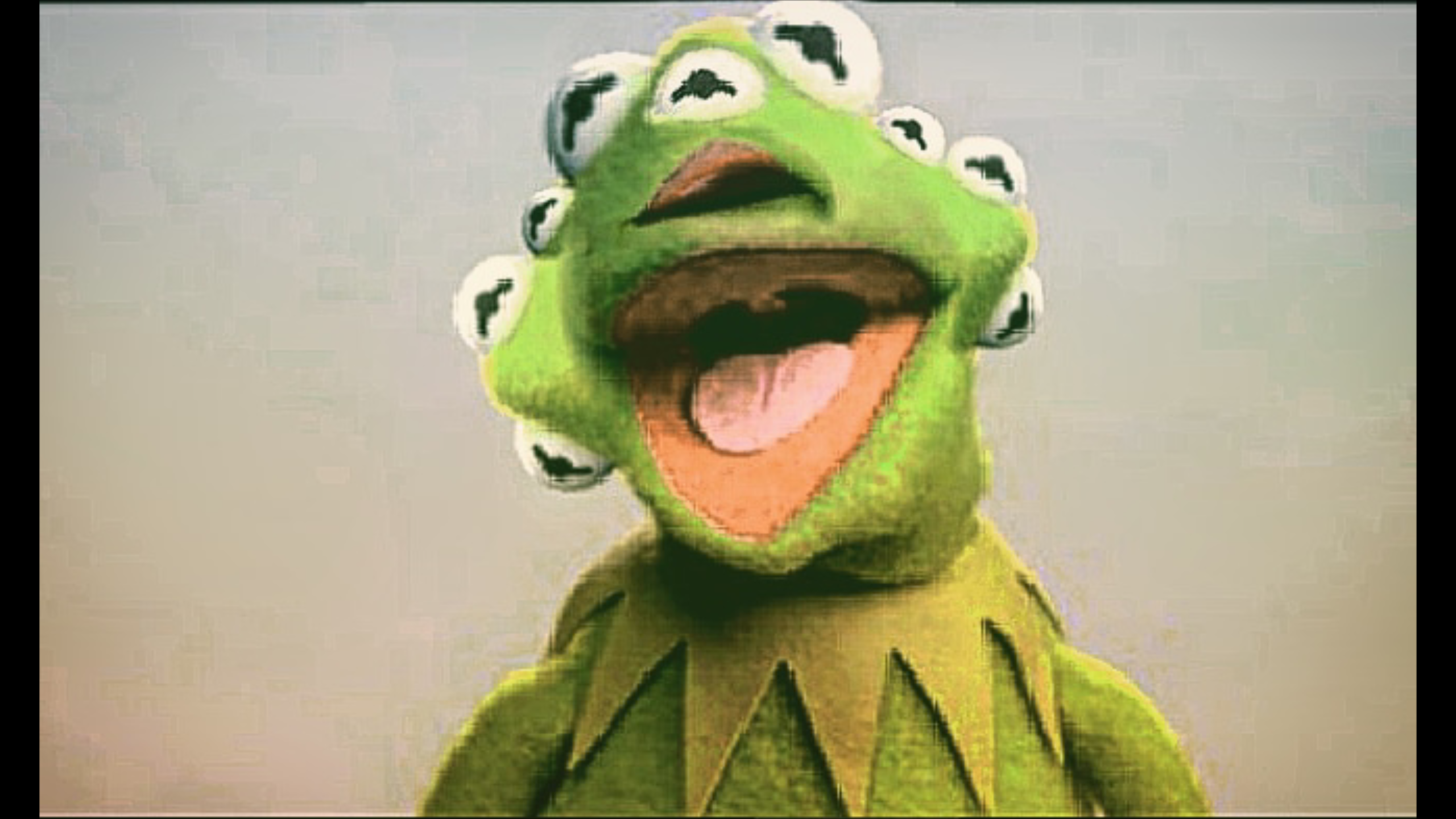 kermit see's all | Scrolller