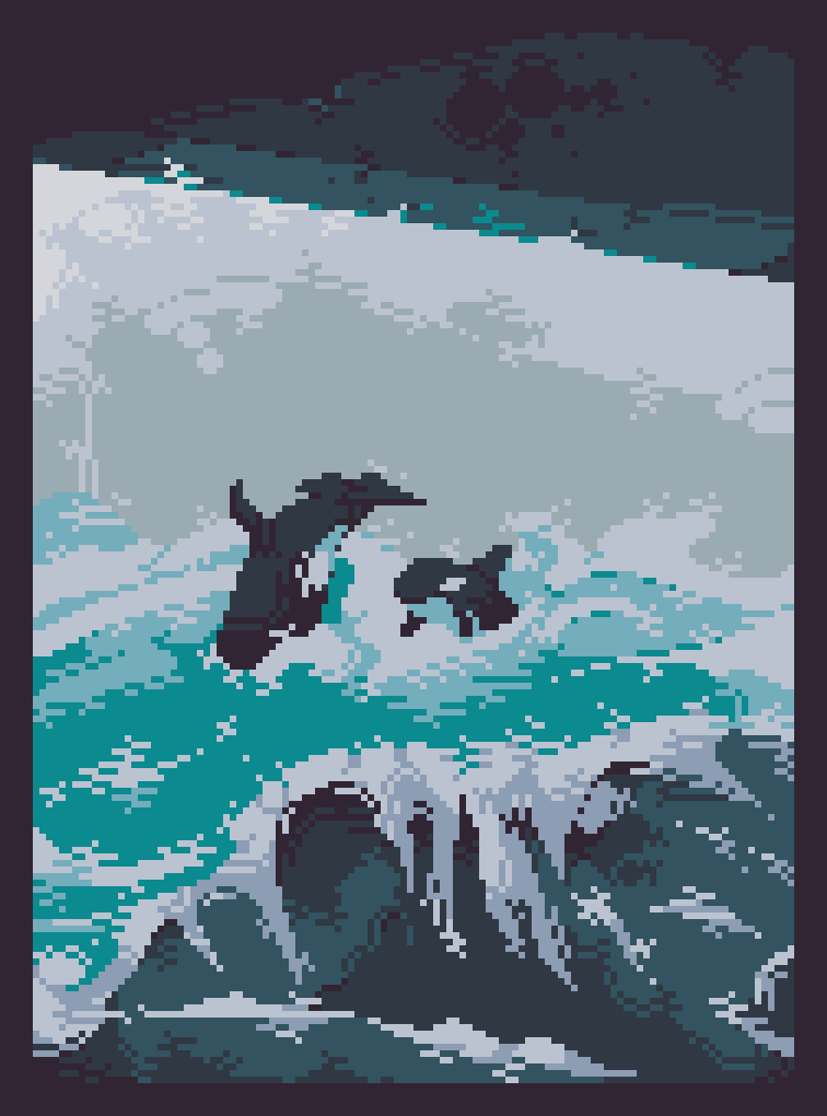 Killer Whales | Scrolller