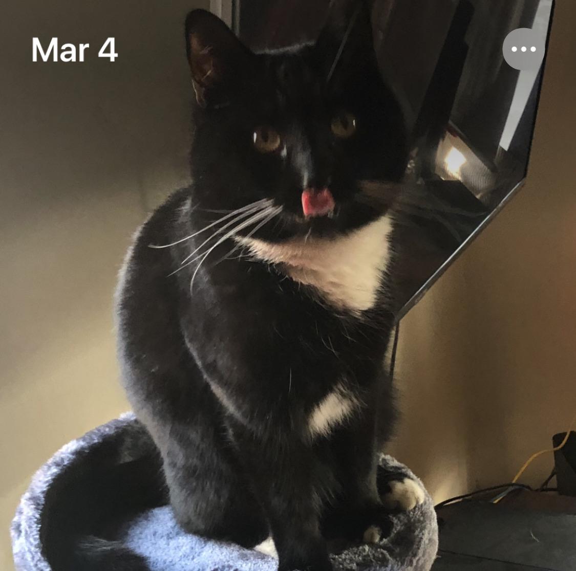 KING MLEP | Scrolller