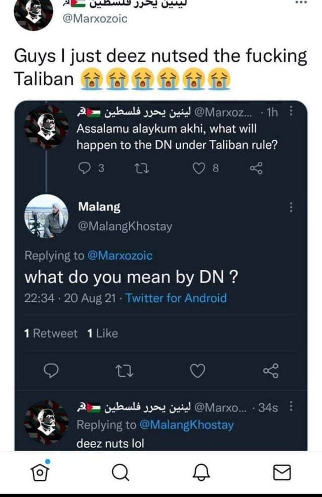 King rule | Scrolller