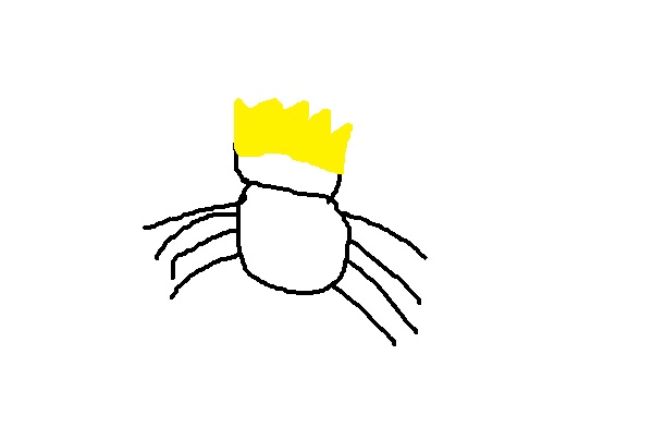 King spoder. | Scrolller