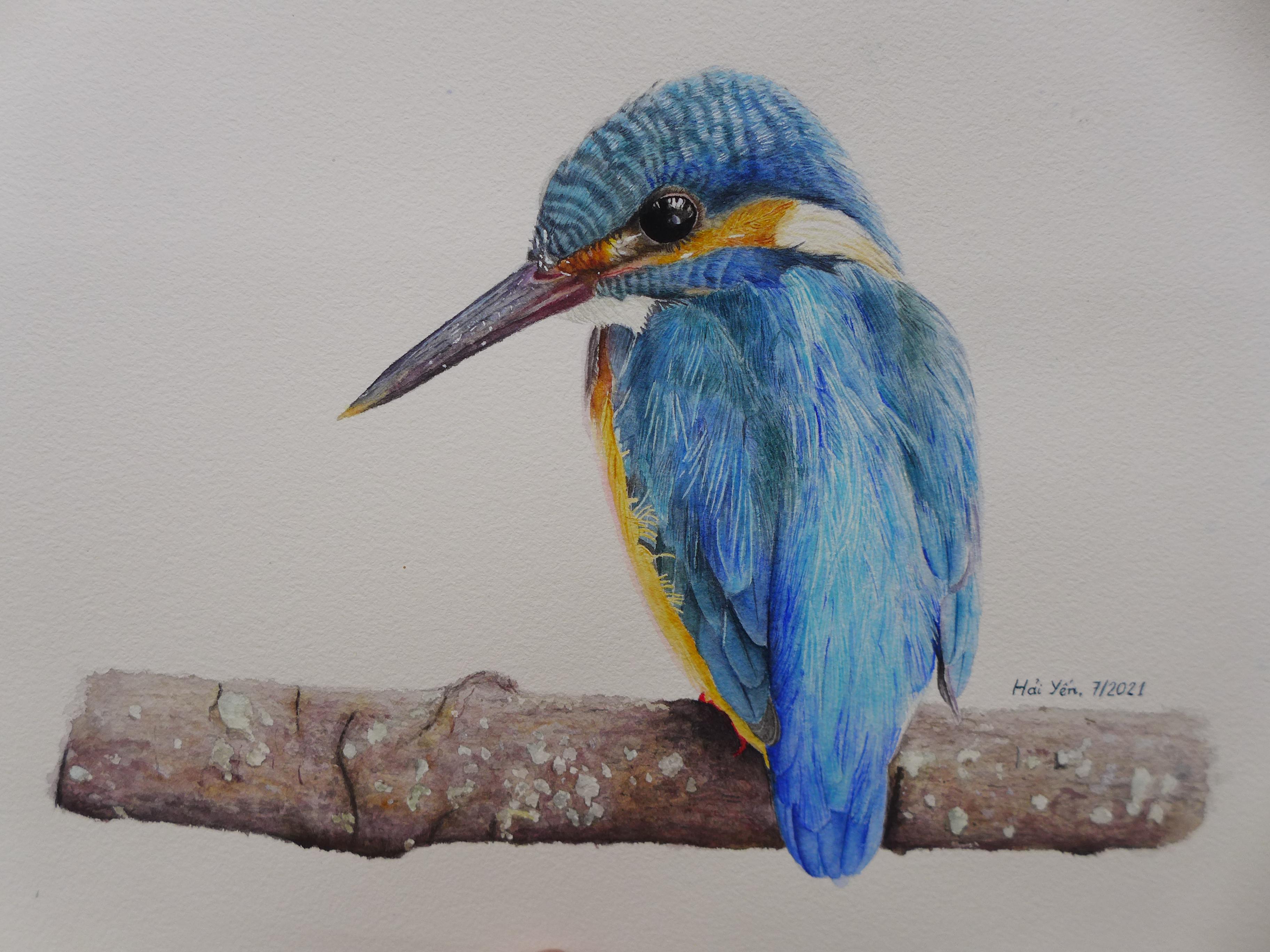 Kingfisher, Me, Watercolor, 2021 | Scrolller