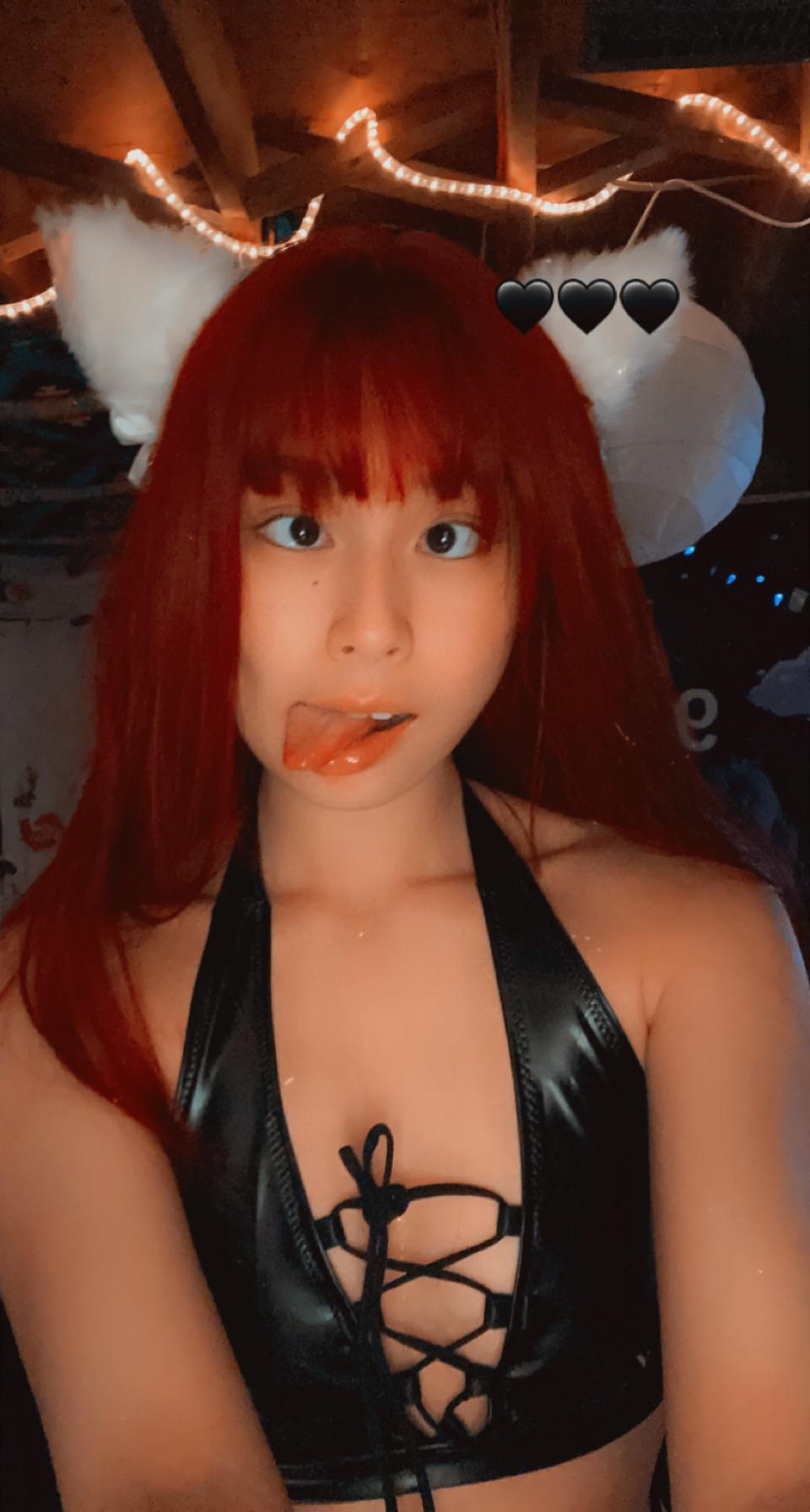 Kitten wants head scratches | Scrolller