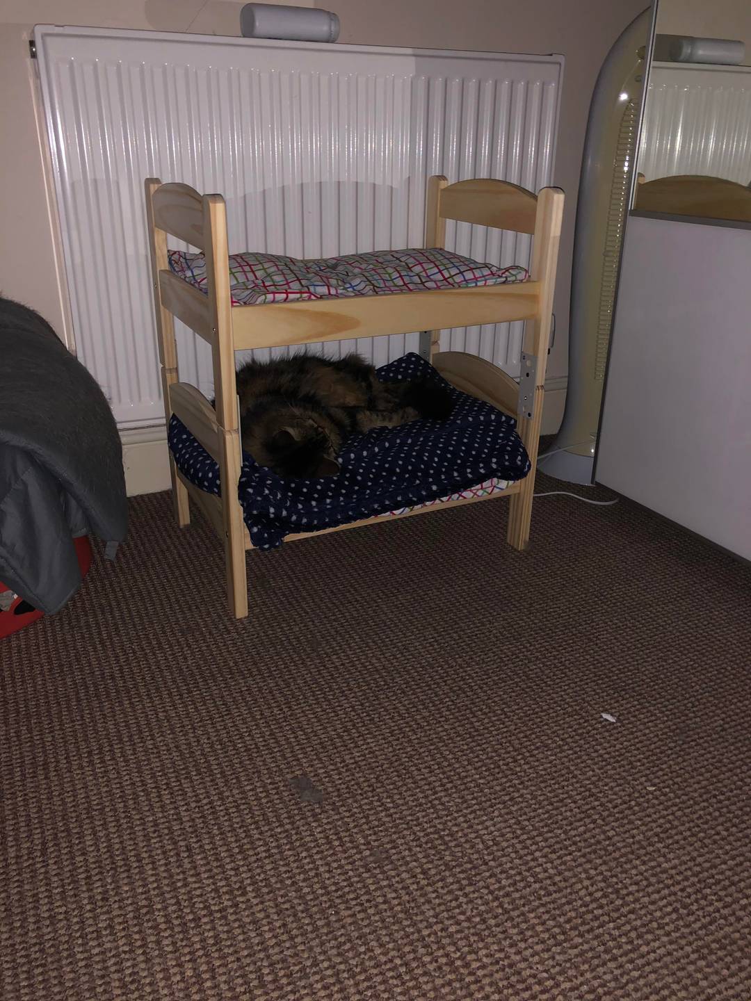 Kitty bunk beds using IKEA doll beds | Scrolller