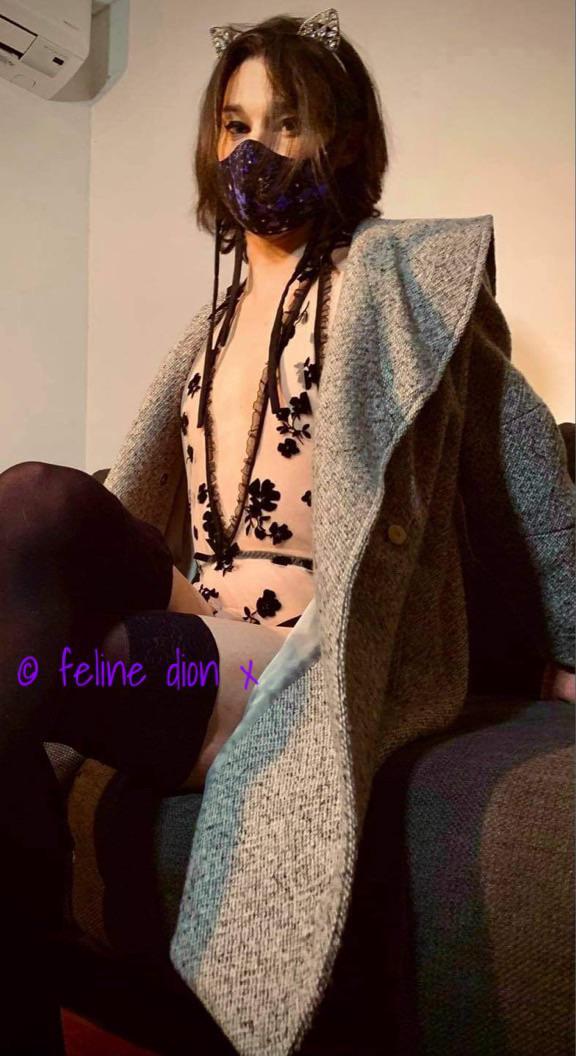 Kitty desperately in need of head…. pats 🥺 | Scrolller