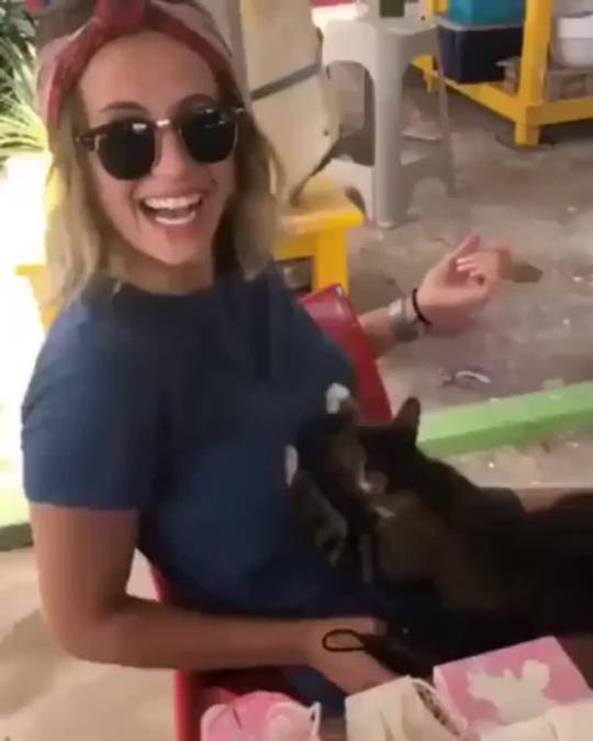 my milkshake brings all the boys to the yard | Scrolller