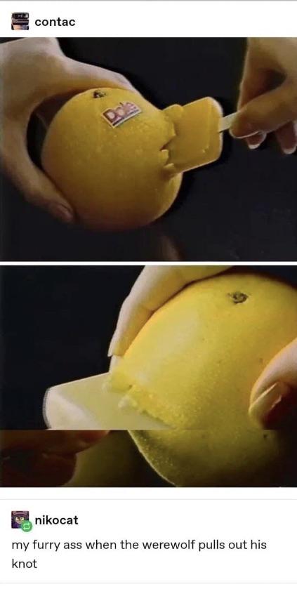 Knot_irl | Scrolller