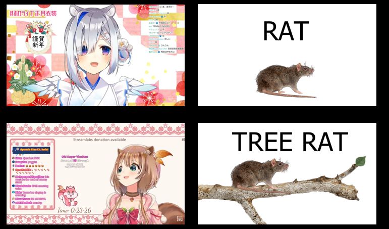 Know the difference | Scrolller