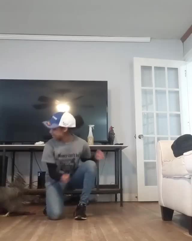 Koa the chicken showing off some tricks | Scrolller